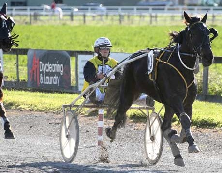 Glenferrie Classic confirms royal pedigree - Mark Jones Harness Racing