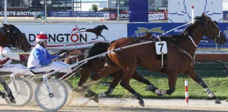 Master Lavros huge in comeback; Omakau next - Mark Jones Harness Racing