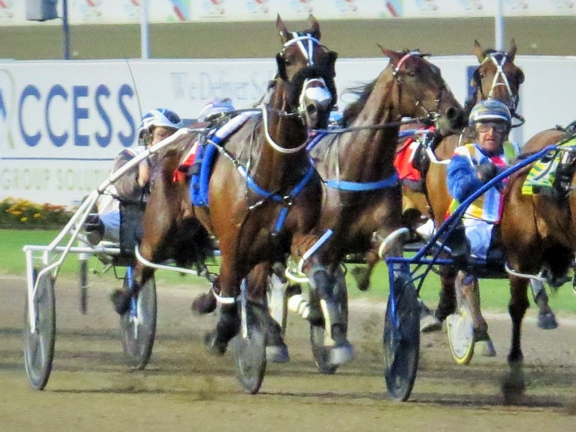 Mark Purdon gets Menangle party started - Mark Jones Harness Racing