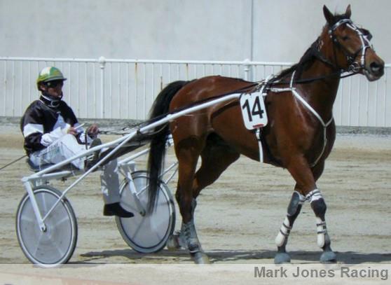 Eyre I Come gives owner Grant Hatton first Group One - Mark Jones ...